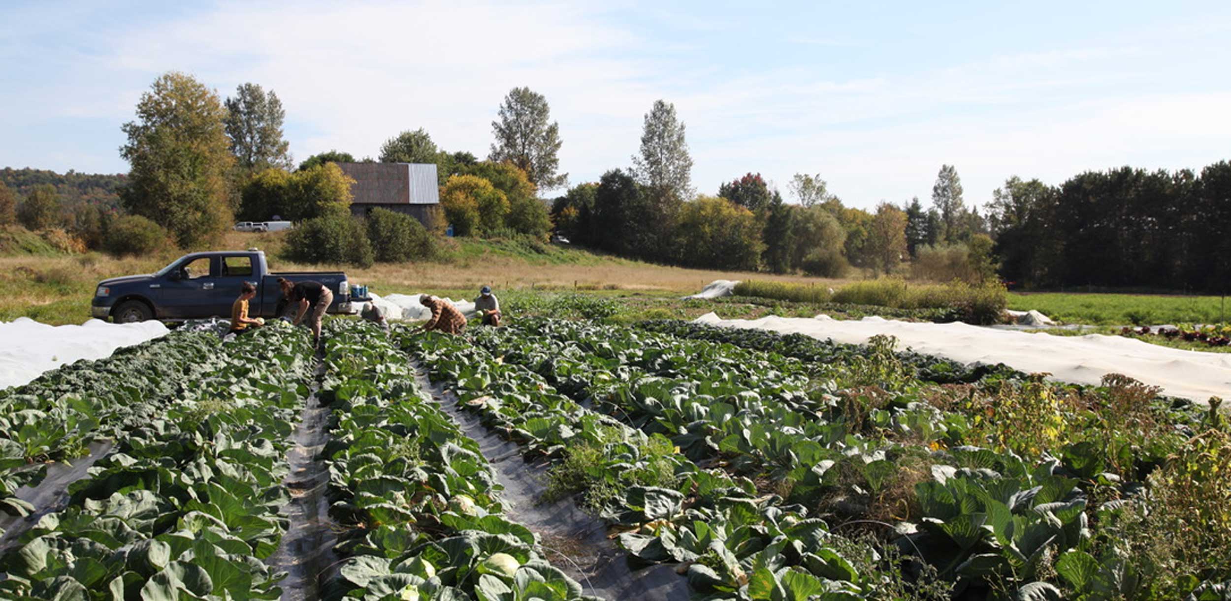 About Us - Farmhouse Food